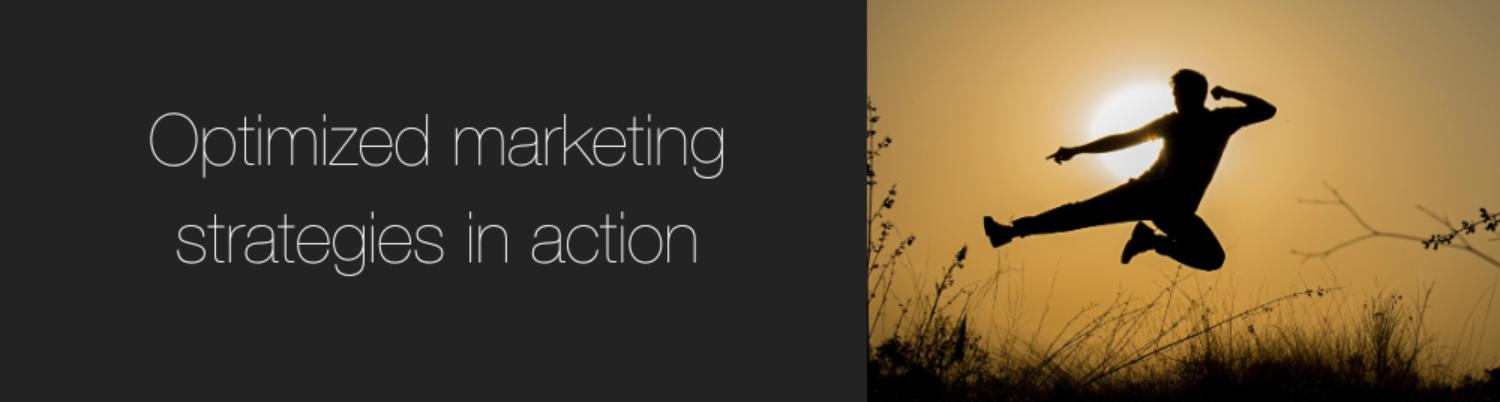 Market segmentation and marketing mix modeling